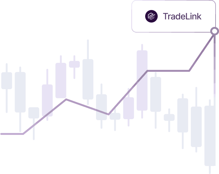 Marketplace TradeLink - Index Trading Platform